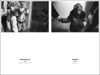 •benign neglect : Mark Murrmann Photography